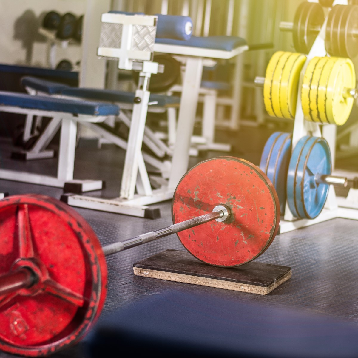 Equipment Guides – Page 11