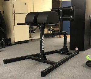 Expert Guide to Rogue’s 4 Glute Ham Developers